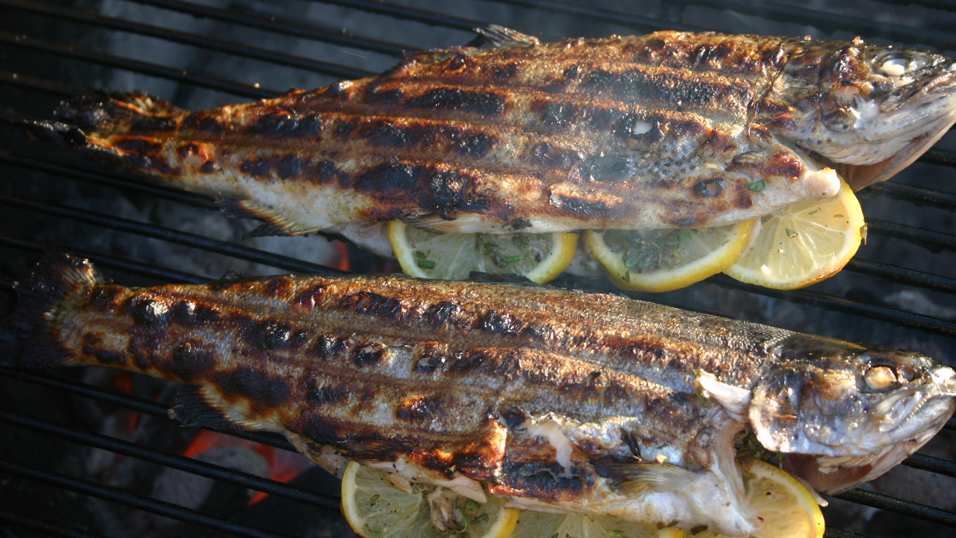 Recipe of the week: Grilled Trout - Visit Meteora